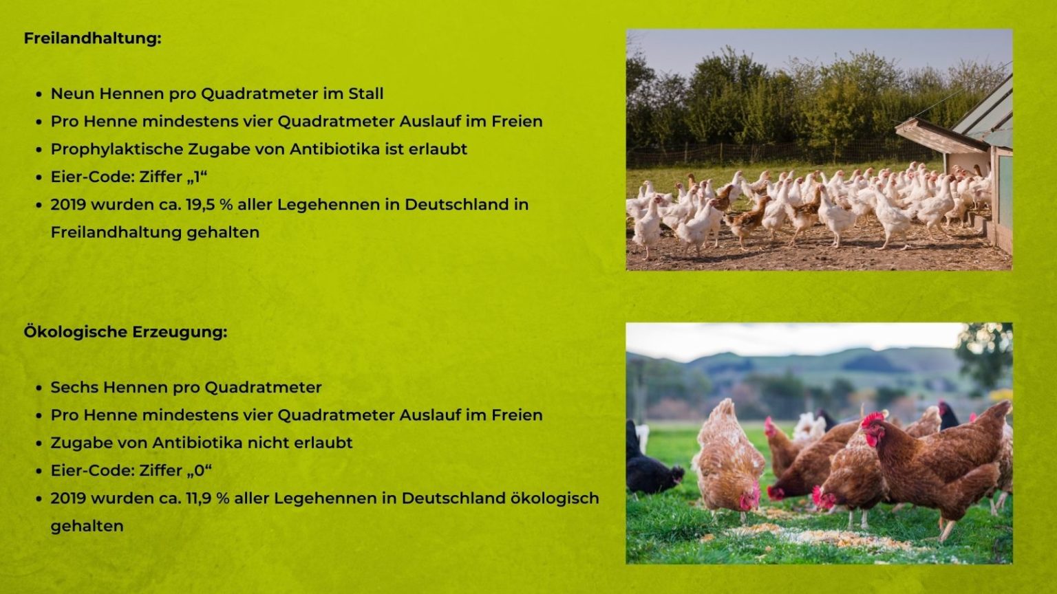 Tierwohllabel – ein Garant für ein glückliches Tierleben? - talk2move
